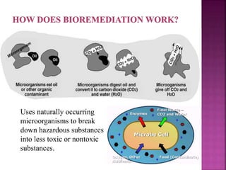 Bioremidiation | PPTX