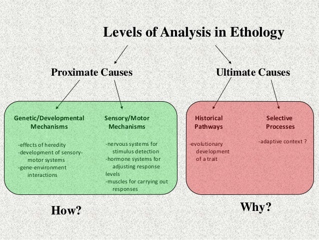 BEHAVIOURAL TRAITS UNDER NATURAL SELECTION