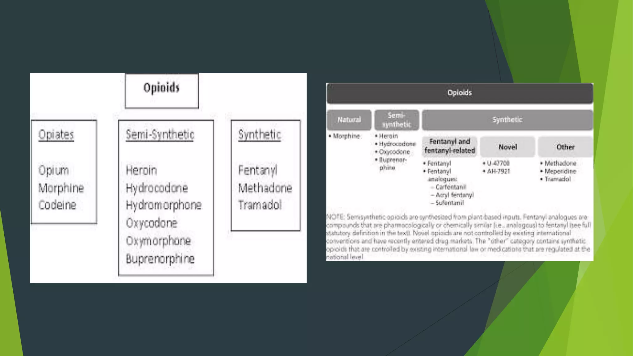 opioid antagonists | PPTX