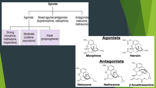opioid antagonists | PPTX
