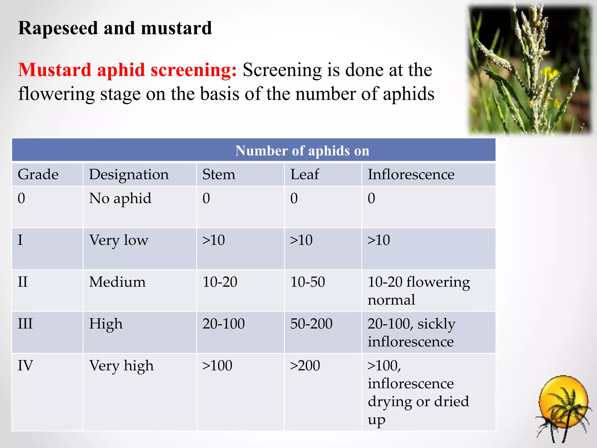 Screening Techniques for Different Insect Pests in Crop Plants | PPTX