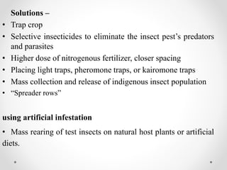 Screening Techniques for Different Insect Pests in Crop Plants | PPTX