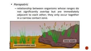 Shweta singh Species Diversity Z-22-18.pptx