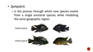 Shweta singh Species Diversity Z-22-18.pptx