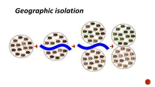 Shweta singh Species Diversity Z-22-18.pptx