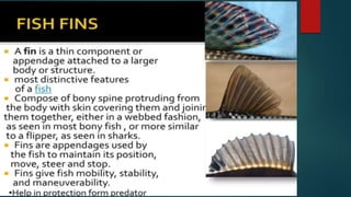 Shweta singh Z-22-18 fins and Locomotion.pptx