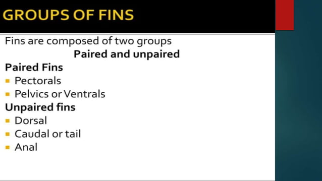 Shweta singh Z-22-18 fins and Locomotion.pptx