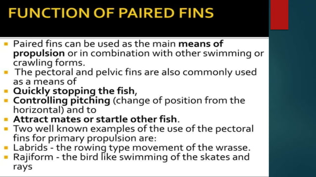 Shweta singh Z-22-18 fins and Locomotion.pptx