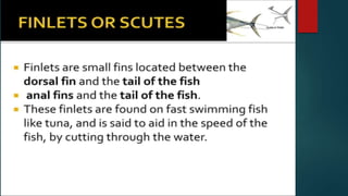 Shweta singh Z-22-18 fins and Locomotion.pptx