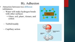 Shweta singh Z-22-18 fins and Locomotion.pptx
