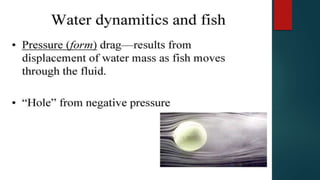 Shweta singh Z-22-18 fins and Locomotion.pptx