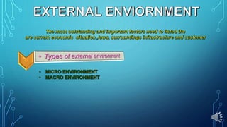 EXTERNAL BUSINESS ENVIORNMENT - Meaning, Definition, Types and Main ...