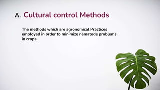 Eco-friendly management of plant parasitic nematode | PPT