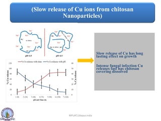 Defense Response boost Through Cu-chitosan Nanoparticles and Plant ...