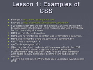 Shyam sunder Rajasthan Computer | PPT