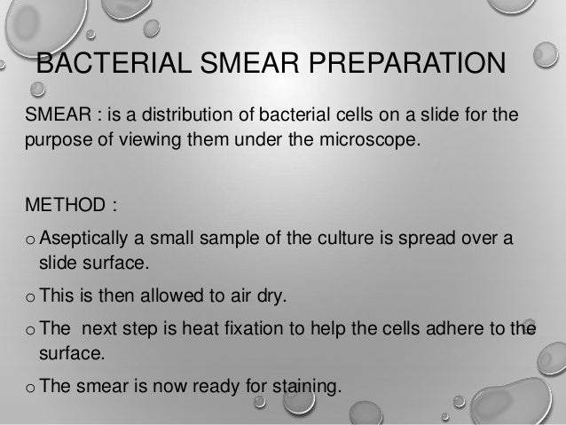 Why Do We Heat Fix The Smear Before Staining It