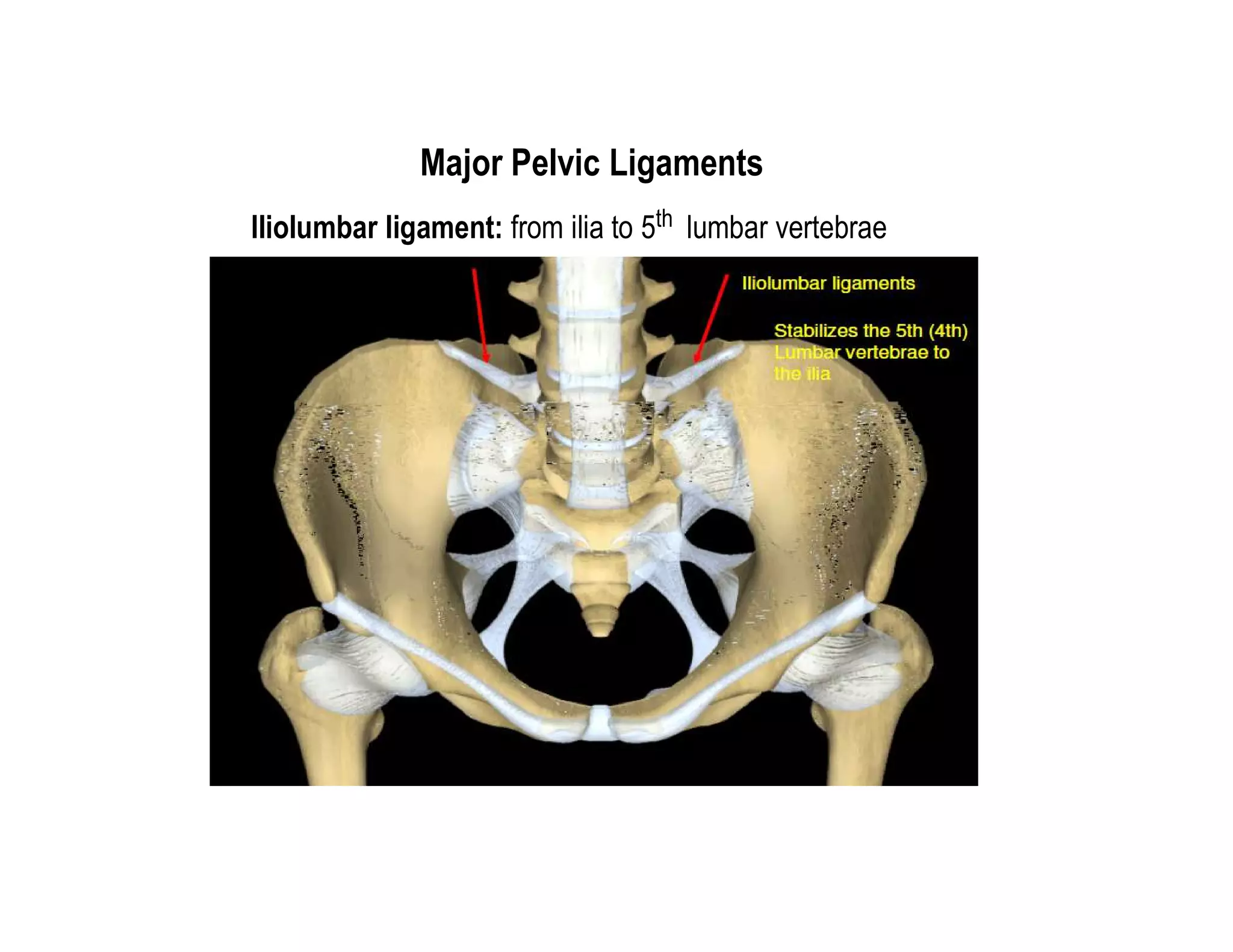 Sacroiliac(SI) Joint Dysfunction,Evaluation and Treatment | PDF