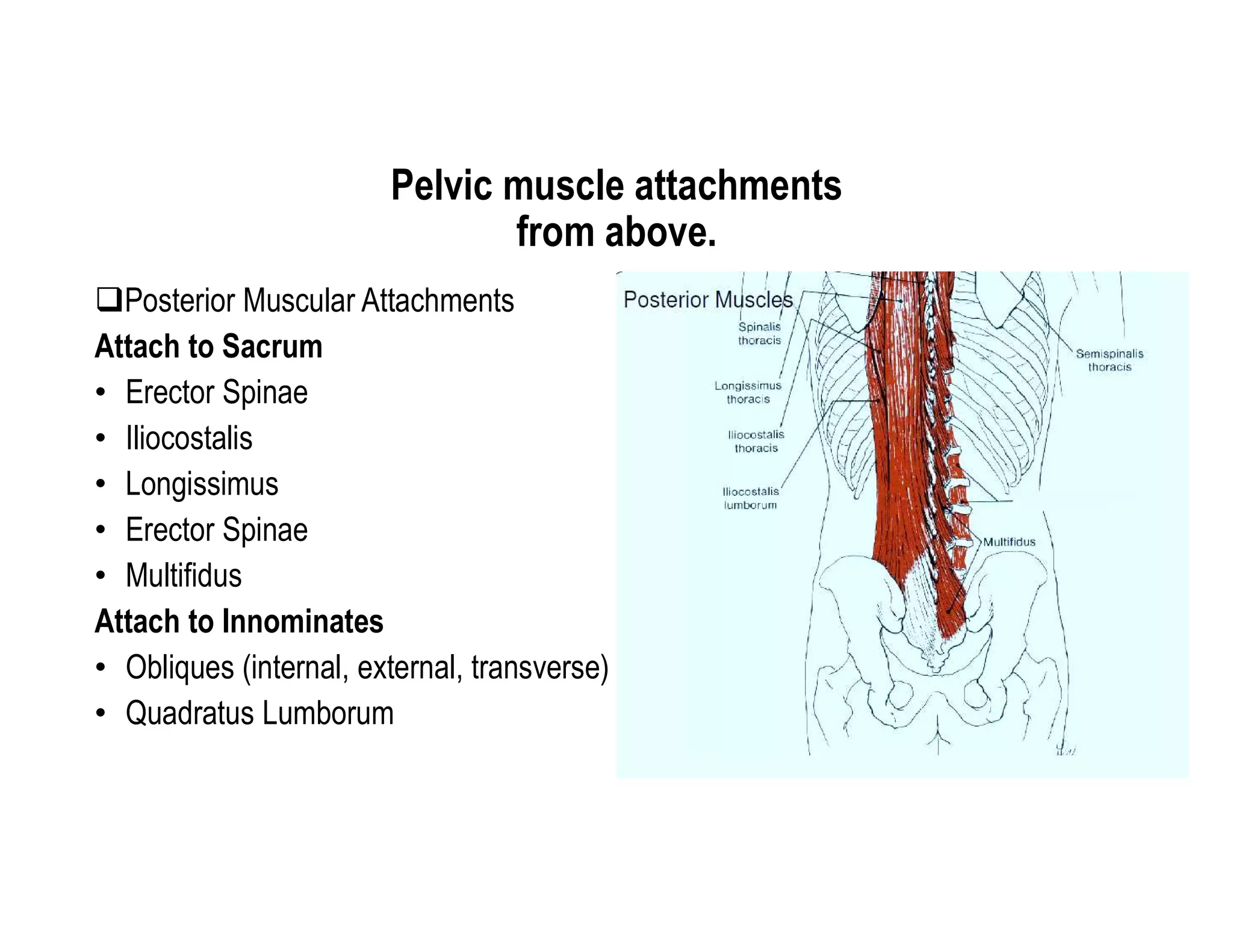 Sacroiliac(SI) Joint Dysfunction,Evaluation and Treatment | PDF