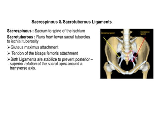 Sacroiliac(SI) Joint Dysfunction,Evaluation and Treatment | PDF