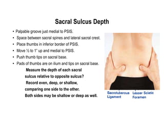 Sacroiliac(SI) Joint Dysfunction,Evaluation and Treatment | PPT