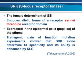 Molecular basis of Self Incompatibility In Crop Plants | PPT