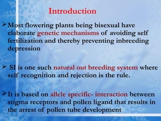 Molecular basis of Self Incompatibility In Crop Plants | PPT