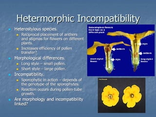 Molecular basis of Self Incompatibility In Crop Plants | PPT