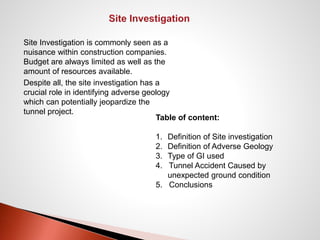 The role of site investigation | PPT