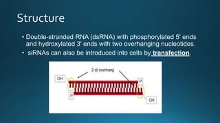 Si-RNA & Antisense.pptx