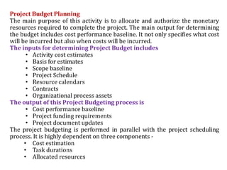 Project Cost Management_ | PPTX