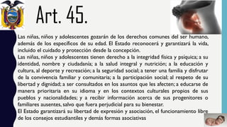 Constitución de la República del Ecuador-Artículos 44, 45 y 46 | PDF