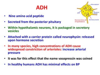 Syndrome of inappropriate antidiuretic hormone release | PPTX