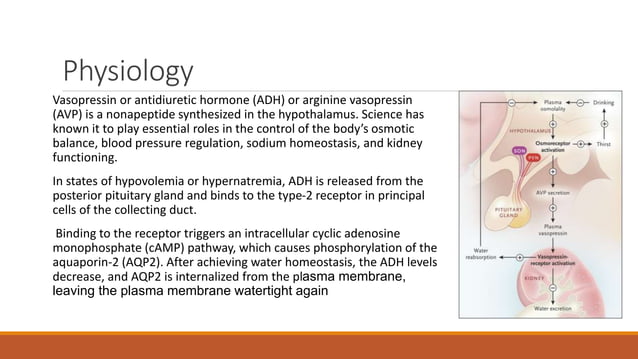 SIADH v/s Diabetes Insipidus .pptx | Endocrine and Metabolic Diseases ...