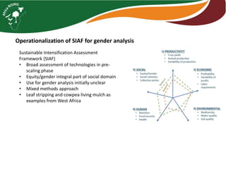 Using SIAF in gender analysis: Examples from recent research in West ...