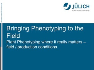 Plant Phenotyping, a new scientific discipline to quantify plant traits ...