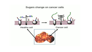 sugars and cancer! | PPT