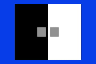 Tissue contrast | PPT