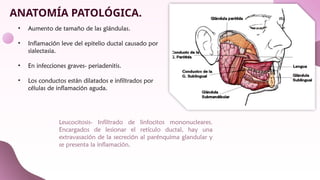 SIALOADENITIS. DIAGNOSTICO, MANEJO Y TRATAMIENTO MEDICO | PPTX