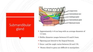 Sialoendoscopy | PPTX