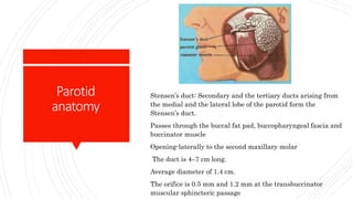 Sialoendoscopy | PPTX