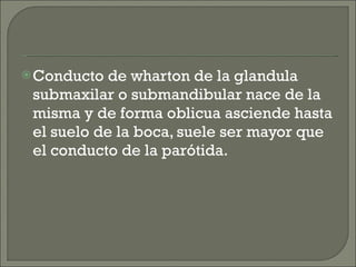 Sialografia | PPT