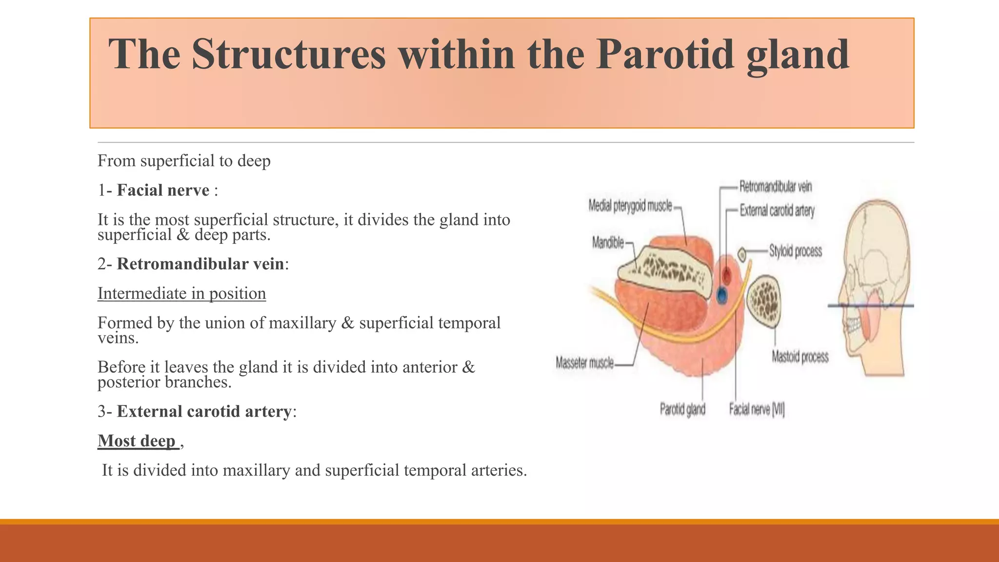 Sialography & Dacrocystography | PPTX