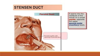 Sialography & Dacrocystography | PPTX