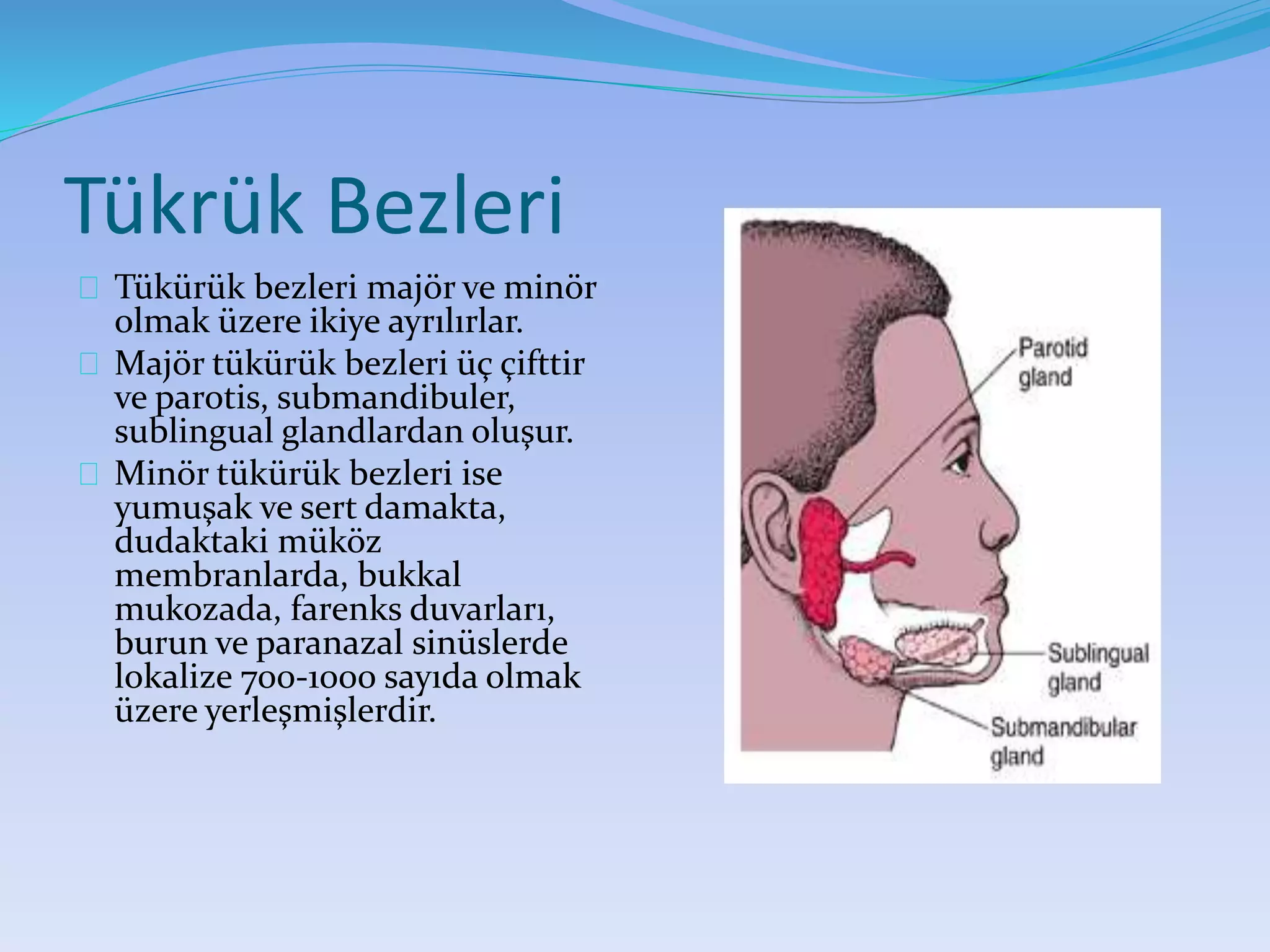 Si̇aloli̇thi̇azi̇s ve tedavi̇si̇ | PPTX