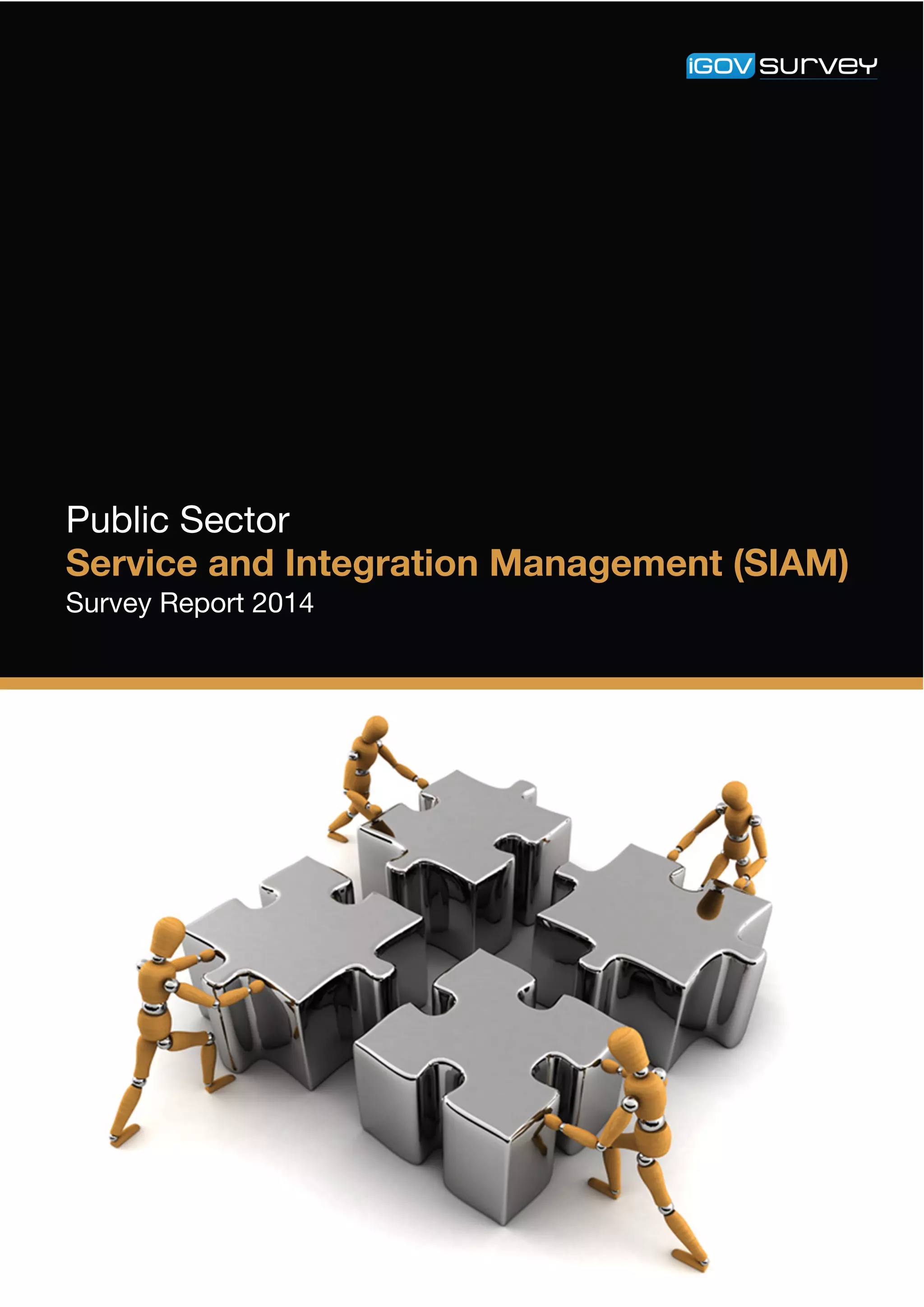 SIAM Survey Report | PDF