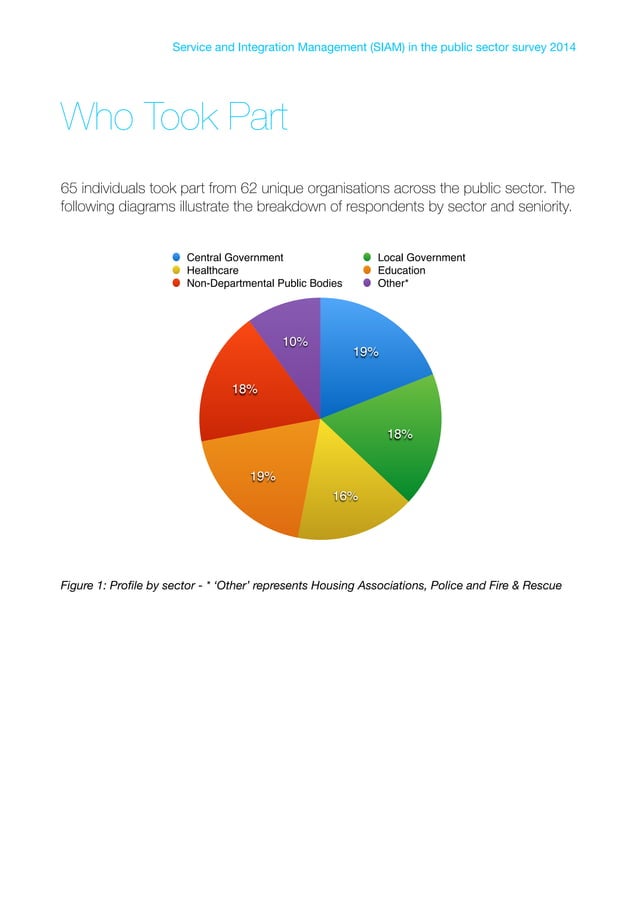 SIAM Survey Report | PDF