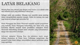 Komposisi pakan musang rase di hutan wanagama dan hutan wanasadi.pptx