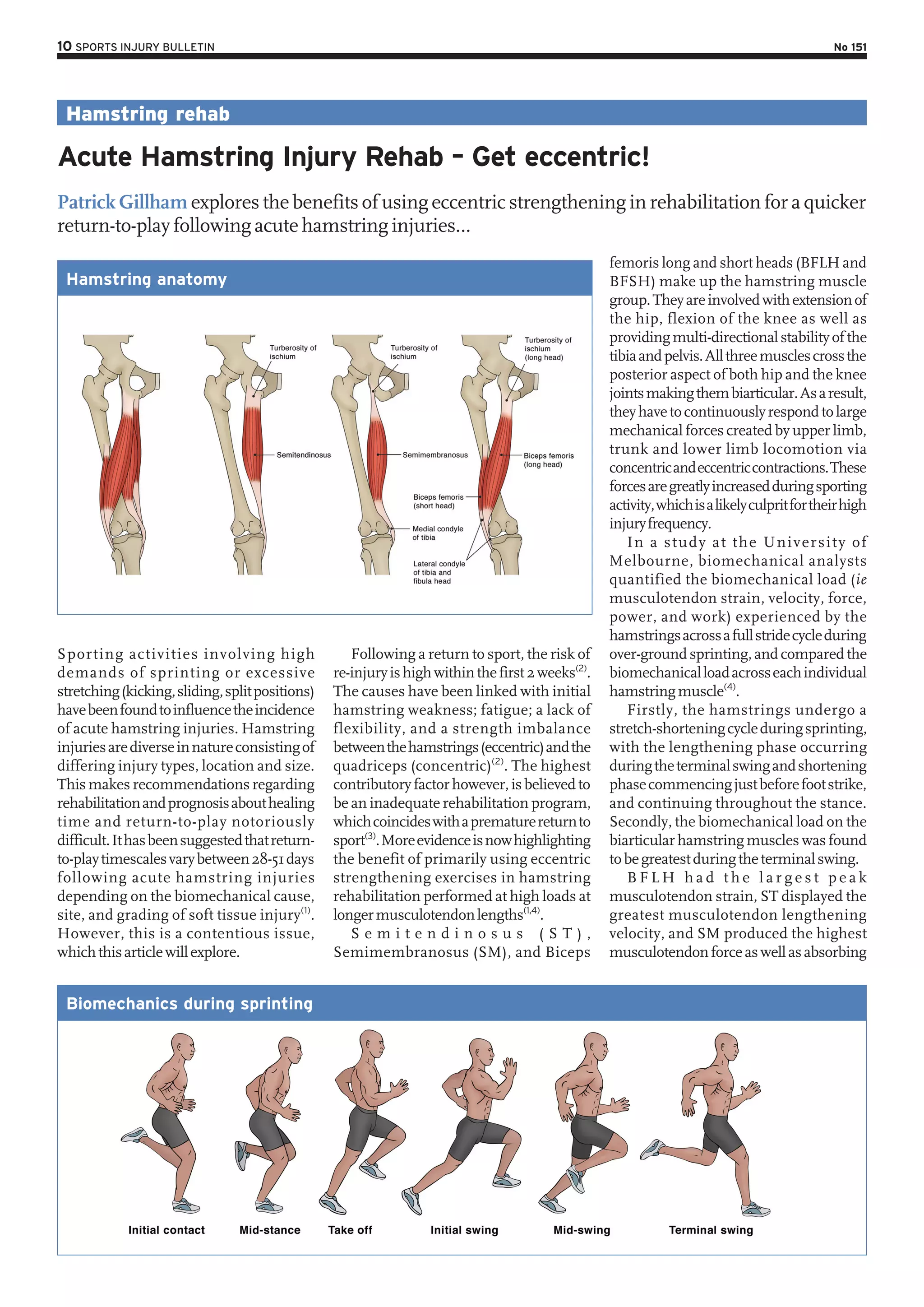 Femoral Acetabular Labral Tear Rehabilitation | PDF