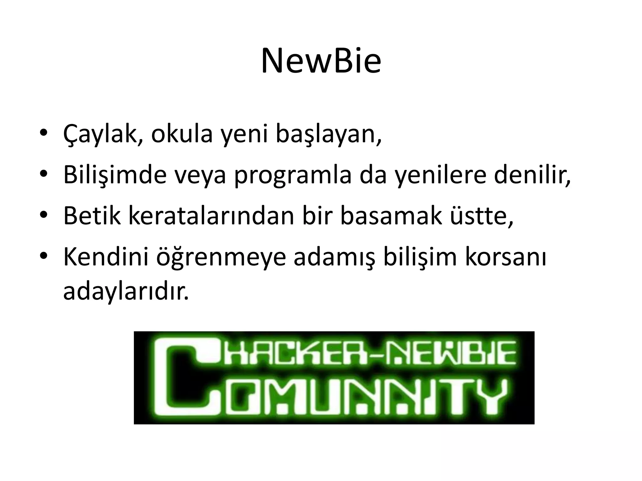 Siber Guvenlik ve Etik Hacking -1- | PDF