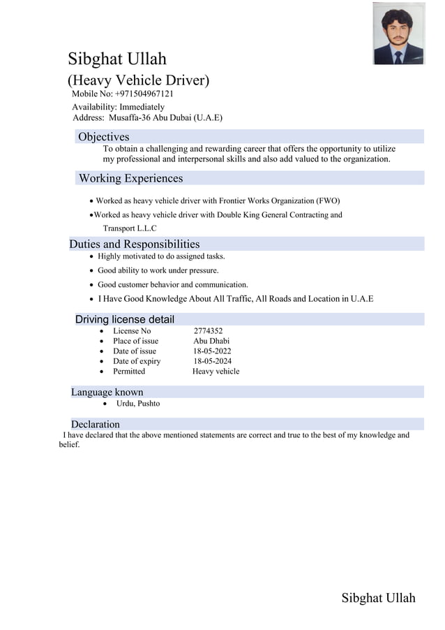 Sibghat CV.pdf | Automotive